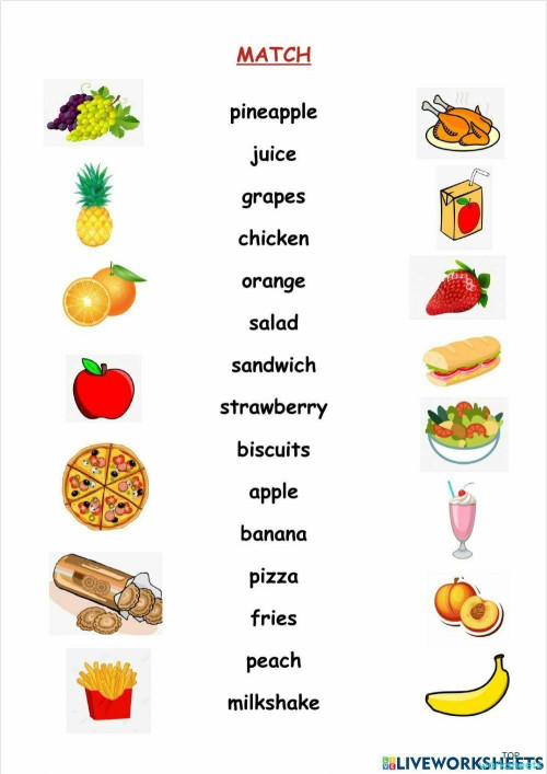 MATCH THE VOCABULARY. Interactive worksheet | TopWorksheets