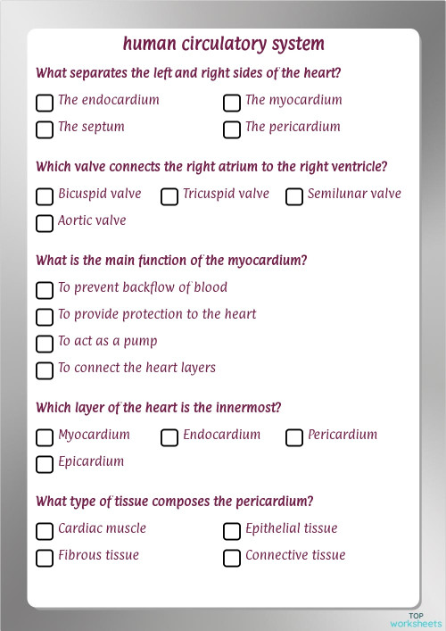 human circulatory system. Interactive worksheet | TopWorksheets