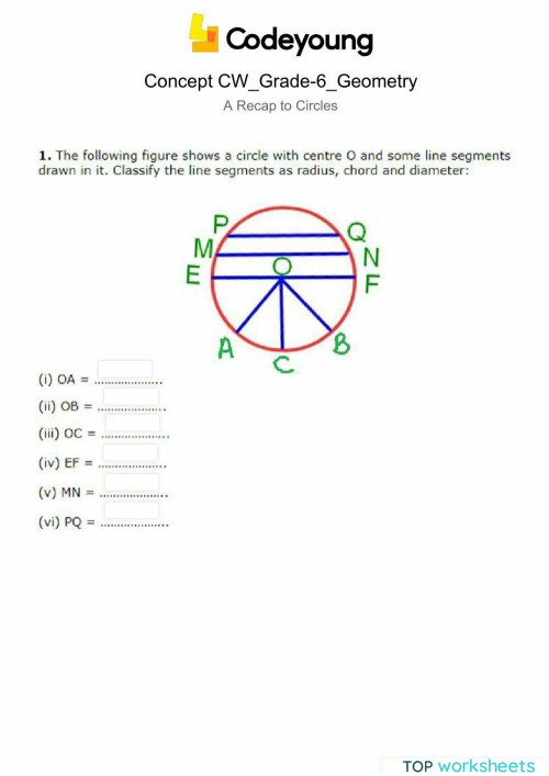 A Recap to Circles Concept CW. Interactive worksheet | TopWorksheets