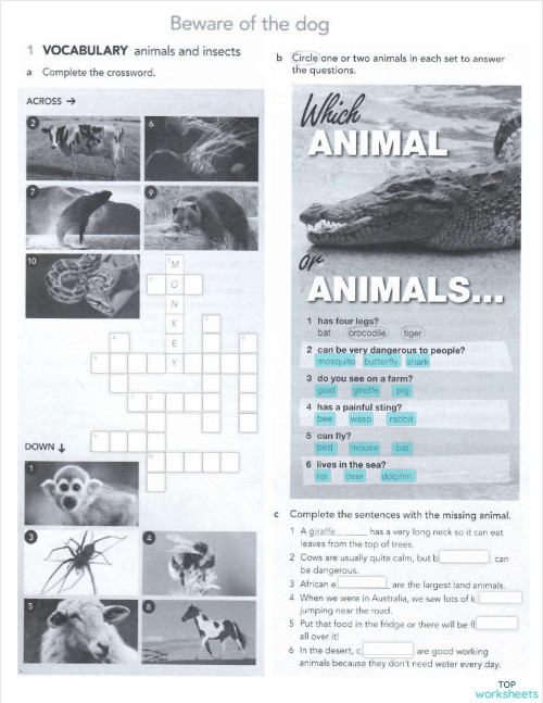 ACT 4-BEWARE OF THE DOG-SECOND TERM. Interactive worksheet | TopWorksheets