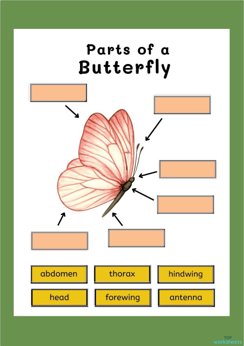 BARNEY AND FRIENDS. Interactive worksheet | TopWorksheets