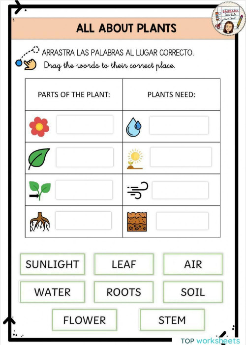 Plants parts and needs. Interactive worksheet | TopWorksheets