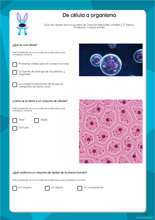 De célula a organismo. Ficha interactiva | TopWorksheets