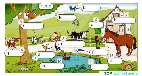 Look at Animals. Interactive worksheet | TopWorksheets