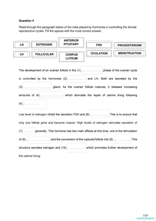 Roles of Hormones in Female Reproductive Cycles. Interactive worksheet ...