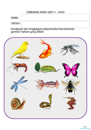 Data (Teknik Gundalan). Interactive worksheet | TopWorksheets