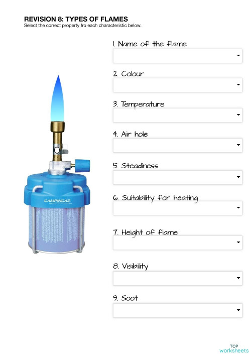 REVISION 8: TYPES OF FLAMES. Interactive worksheet | TopWorksheets