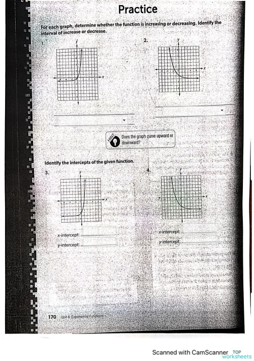 Exponential Functions Day 1. Interactive worksheet | TopWorksheets