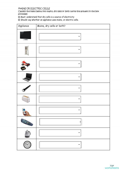 Mains or Dry cells. Interactive worksheet | TopWorksheets