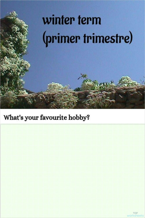 Separator 1st term - writing. Interactive worksheet | TopWorksheets