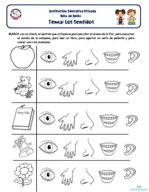 Los Sentidos. Ficha interactiva | TopWorksheets
