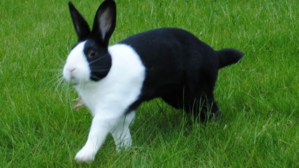 Power Up 0 | Unit 9.3. Interactive worksheet | TopWorksheets