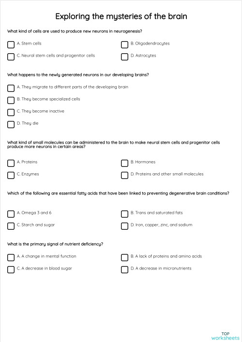 Exploring the mysteries of the brain. Interactive worksheet | TopWorksheets