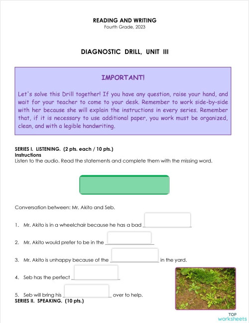 Reading and Writing Diagnostic Drll-Fourth Grade-Unit III. Interactive ...