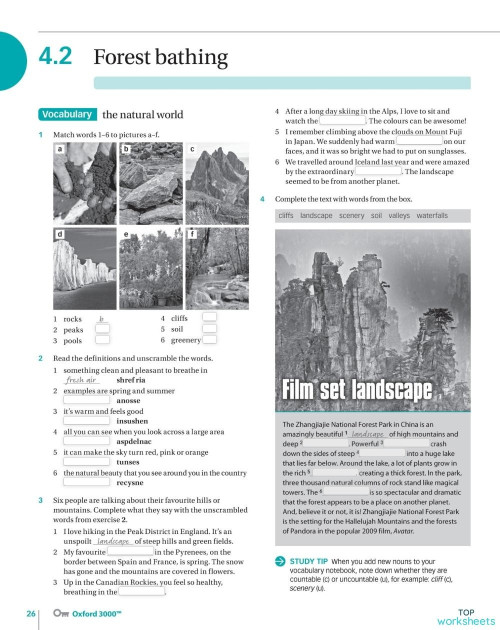 4.2 | Forest bathing. Interactive worksheet | TopWorksheets