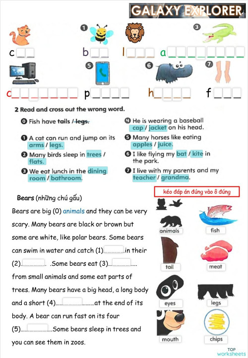 Starters Mini Trainer P15. Interactive worksheet | TopWorksheets