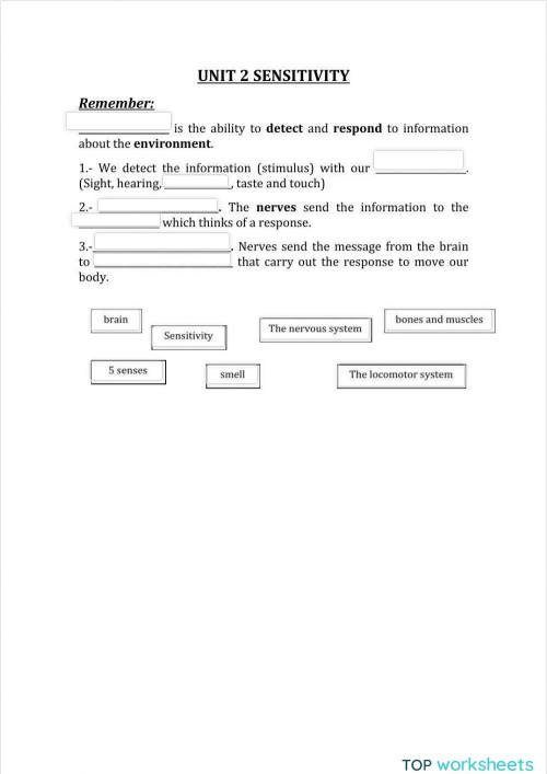 Interaction. Interactive worksheet | TopWorksheets