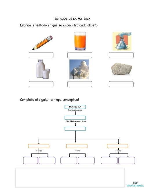 ESTADOS DE LA MATERIA. Ficha interactiva | TopWorksheets
