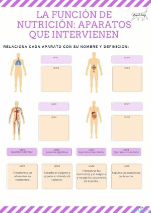Aparatos en la función de nutrición. Ficha interactiva | TopWorksheets