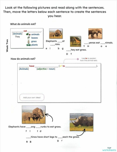 Form 7. 29/01. Classwork. Interactive worksheet | TopWorksheets