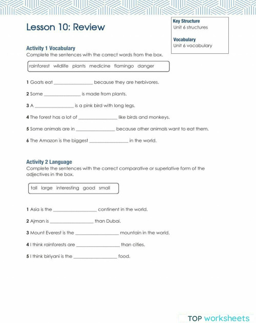 Access 8 - T2 - U6 - L10 - Act 1+2. Interactive worksheet | TopWorksheets