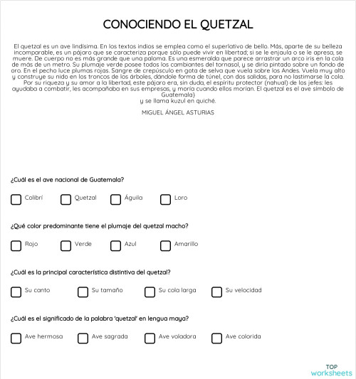 Lectura: fichas interactivas y ejercicios online | TopWorksheets