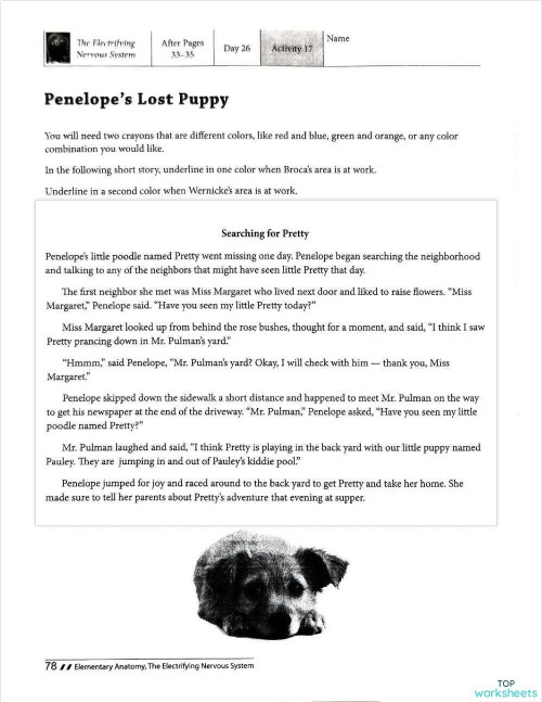 Activity 17: Penelope's Lost Puppy Pg 78. Interactive worksheet ...