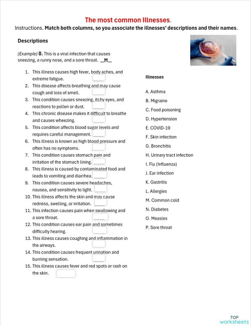 The most common illnesses. Interactive worksheet | TopWorksheets