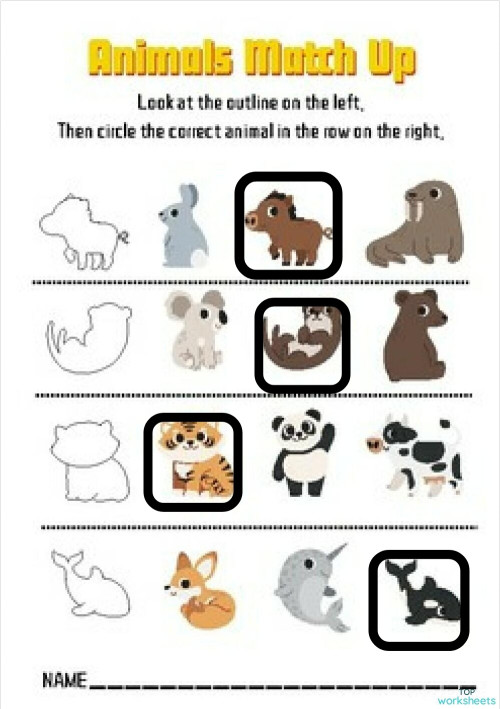 Circle animal worksheet. Interactive worksheet | TopWorksheets