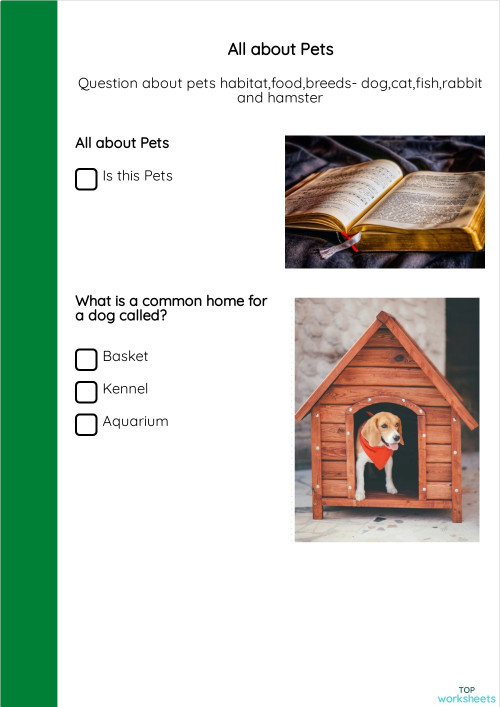 All about Pets. Interactive worksheet | TopWorksheets