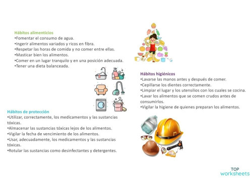 Examen de ciencias - Alimentacion. Ficha interactiva | TopWorksheets