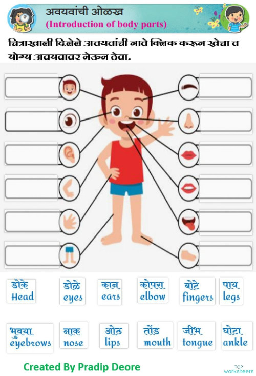 Interactive worksheets and online exercises in India | TopWorksheets