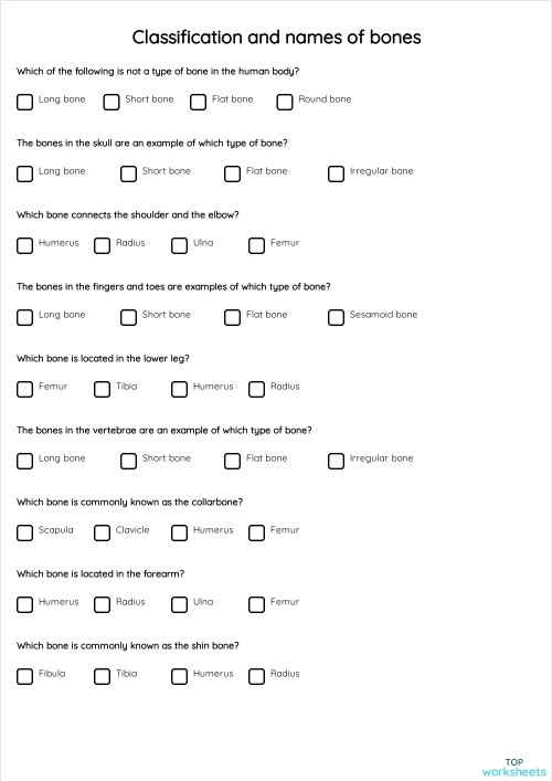 Classification and names of bones. Interactive worksheet | TopWorksheets