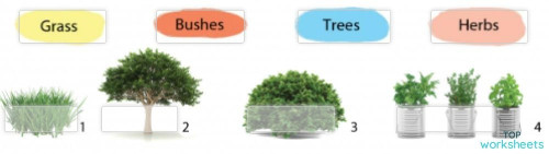 4th grade April Nature 2nd level. Interactive worksheet | TopWorksheets