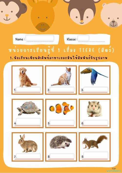 ใบงานบทที่ 1 เรื่อง Tiere. Interaktives Arbeitsblatt | TopWorksheets