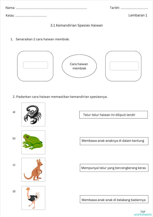 SAINS TAHUN 5 HAIWAN. Interactive worksheet | TopWorksheets