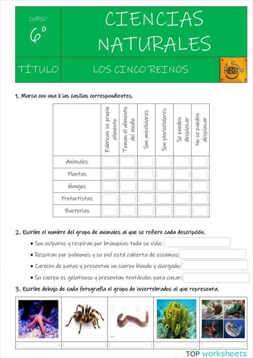 Los cinco reinos. Ficha interactiva | TopWorksheets