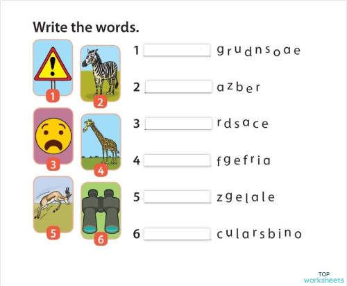 Movers - Unit 4 Practice test. Interactive worksheet | TopWorksheets