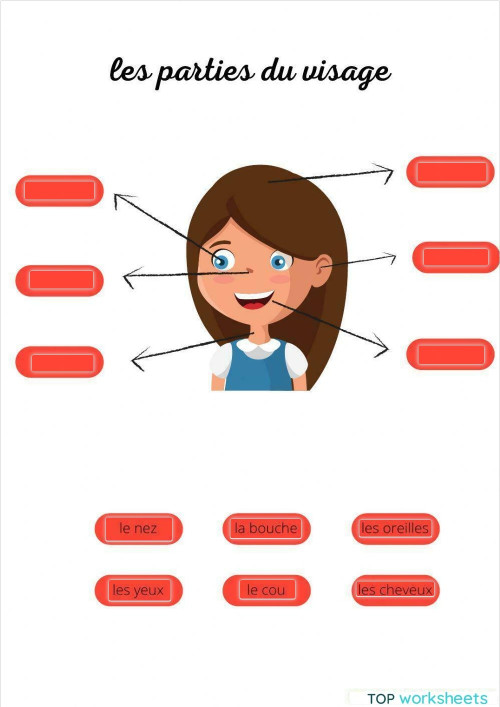 Les parties du visage. Fiche interactive | TopWorksheets