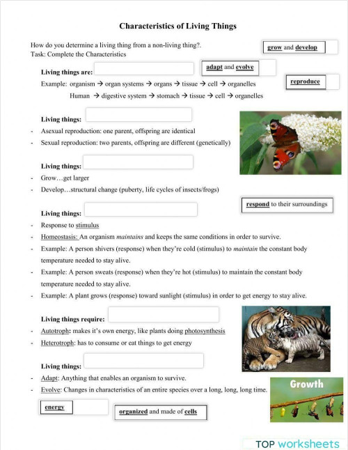 Characteristics of living beings. Interactive worksheet | TopWorksheets