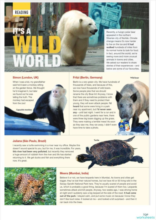 Reading: It's a wild world. Ficha interactiva | TopWorksheets