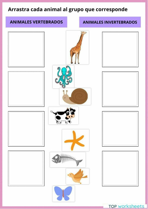 Vertebrados e invertebrados. Ficha interactiva | TopWorksheets