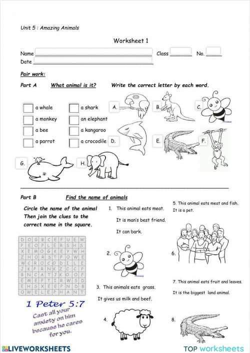 ws1 unit5 animals. Interactive worksheet | TopWorksheets