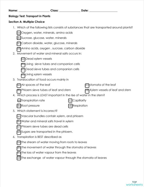 transport in plants. Interactive worksheet | TopWorksheets