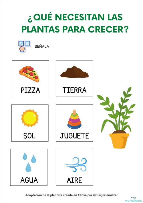 Las plantas: partes y qué necesitan. Ficha interactiva | TopWorksheets