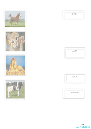Animales: fichas interactivas y ejercicios online | TopWorksheets