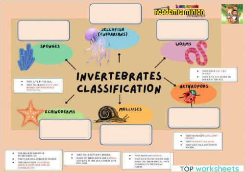 Invertebrates classification. Interactive worksheet | TopWorksheets