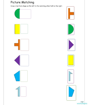 Interactive worksheets and online exercises in India | TopWorksheets