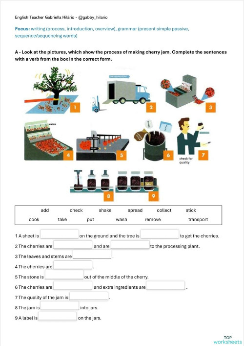 MS 1 - Lesson 1 - Writing. Interactive worksheet | TopWorksheets