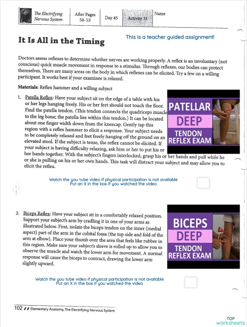 Activity 31: It Is All in the Timing Pg 102. Interactive worksheet ...